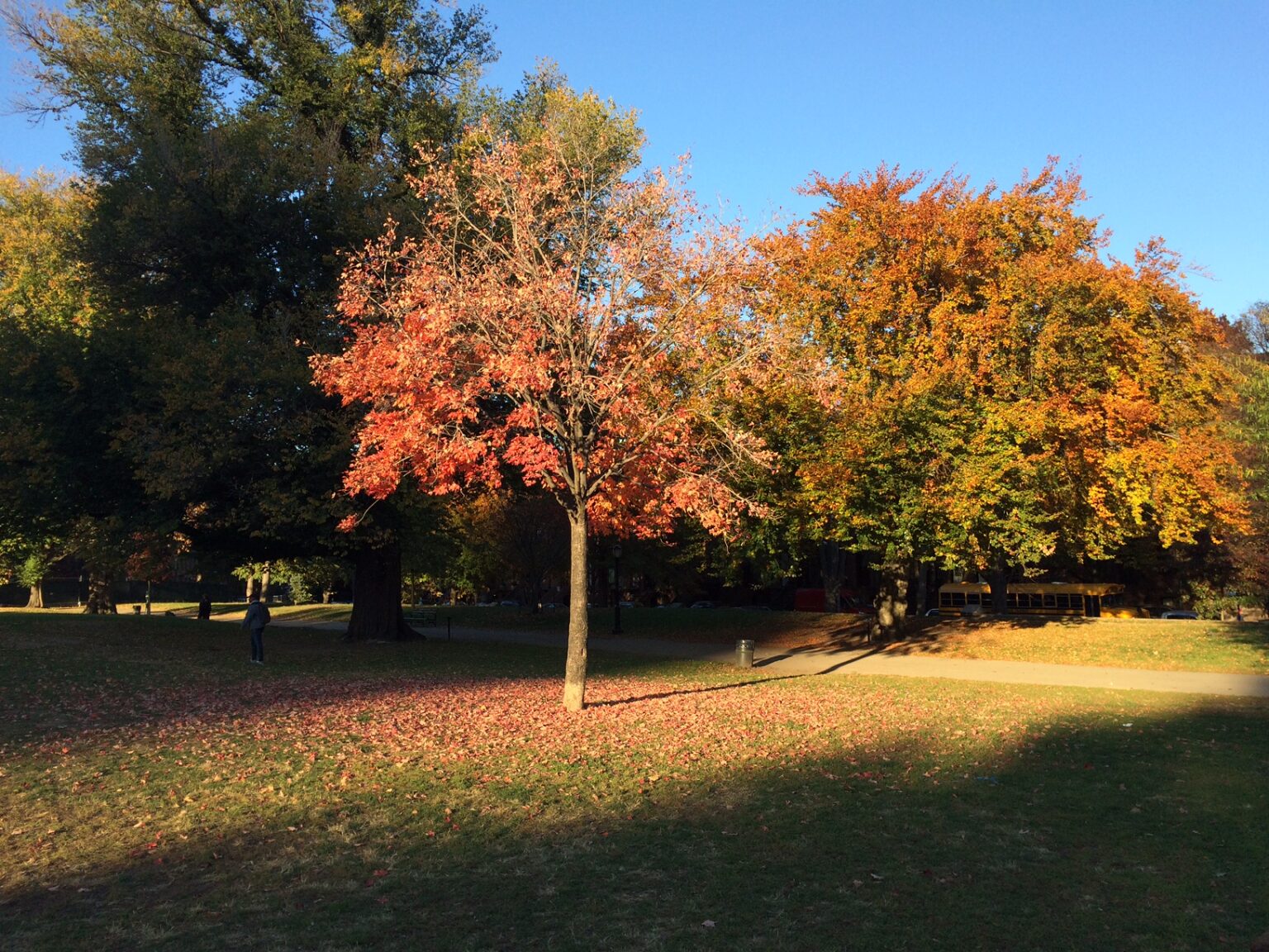 $24M renovation of Fort Greene Park approved | Brooklyn Bridge Parents ...