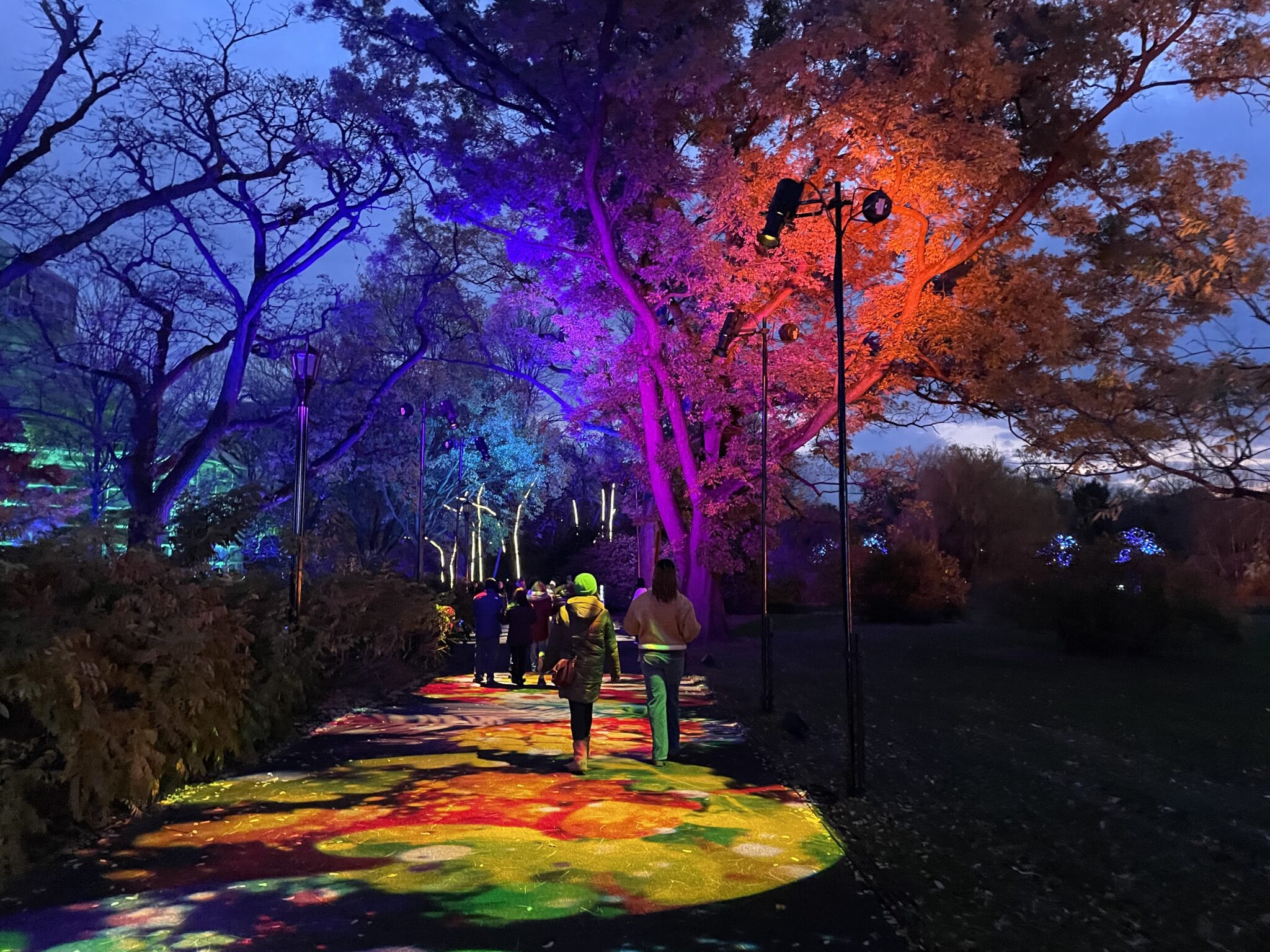 The week in Brooklyn (11/17-11/21) – DUMBO cobblestones restored ...